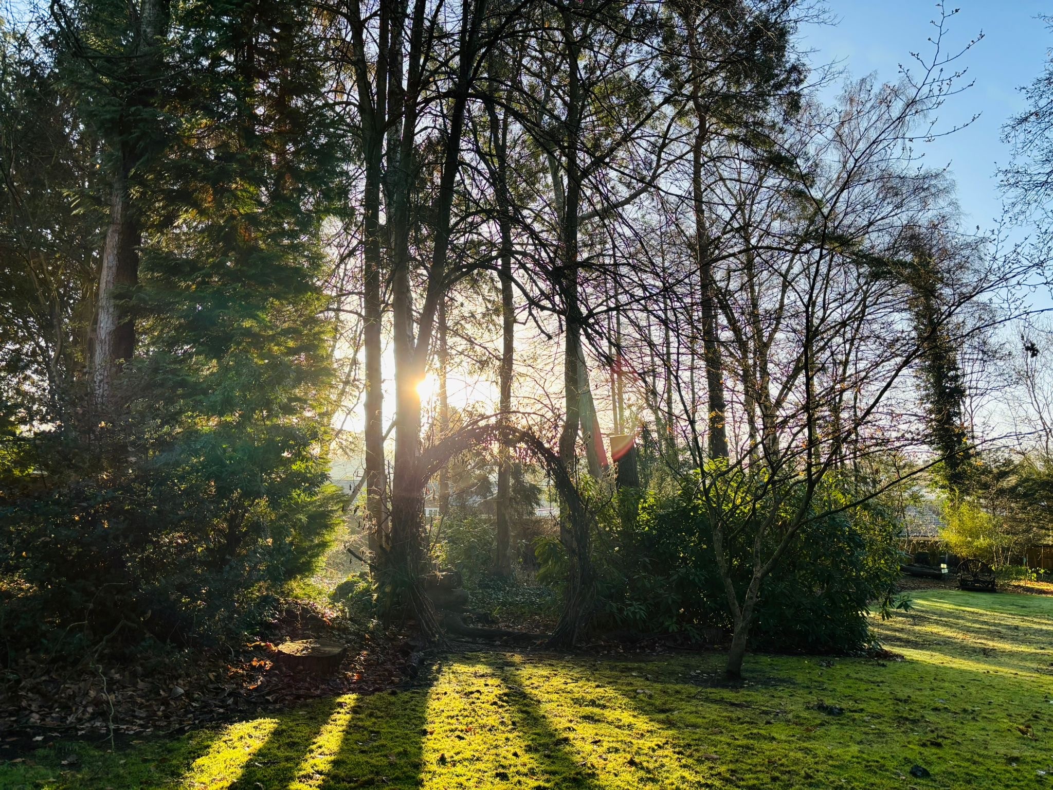 An Evening Of Connection And Wonder with Shane and Sheila - 1st April ...